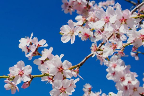 Curious Plot - Food, Agriculture and Animal Care Marketing