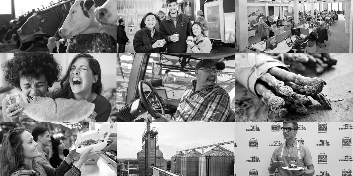 Curious Plot - Food, Agriculture and Animal Care Marketing