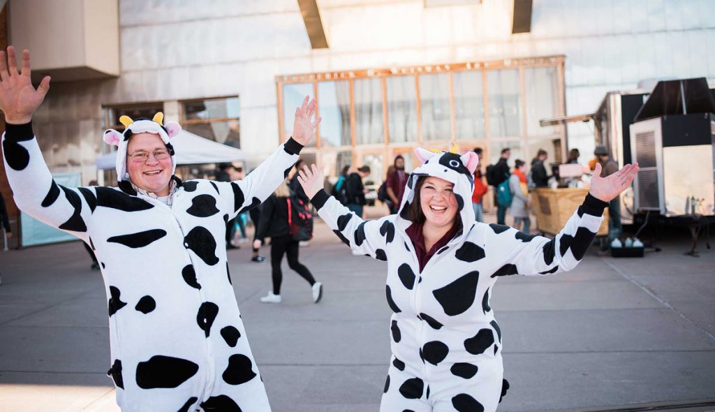 Moo Lab - Curious Plot