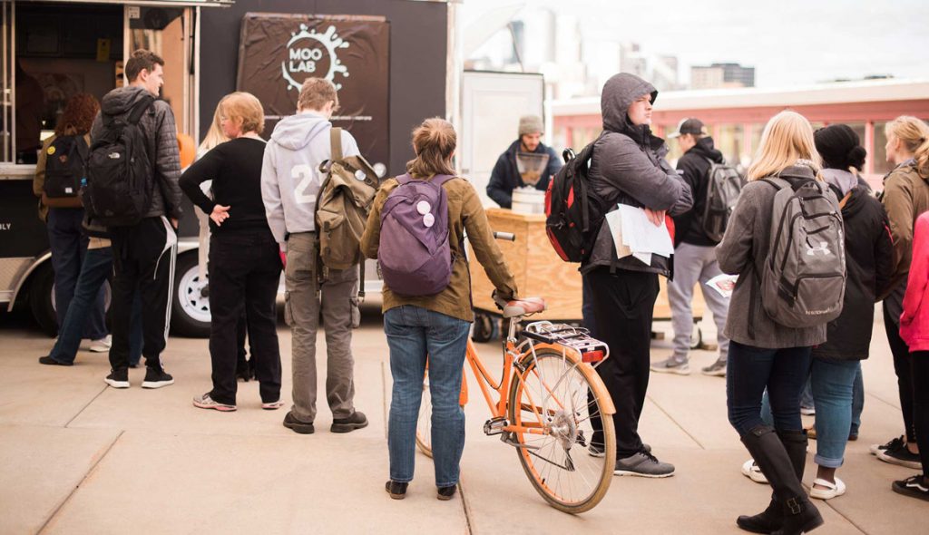 Moo Lab - Curious Plot