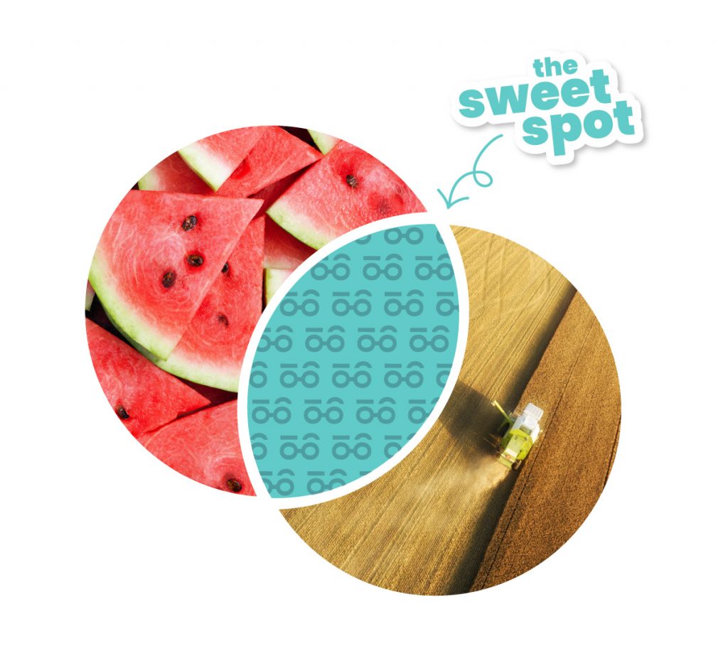 Finding the Sweet Spot - Curious Plot