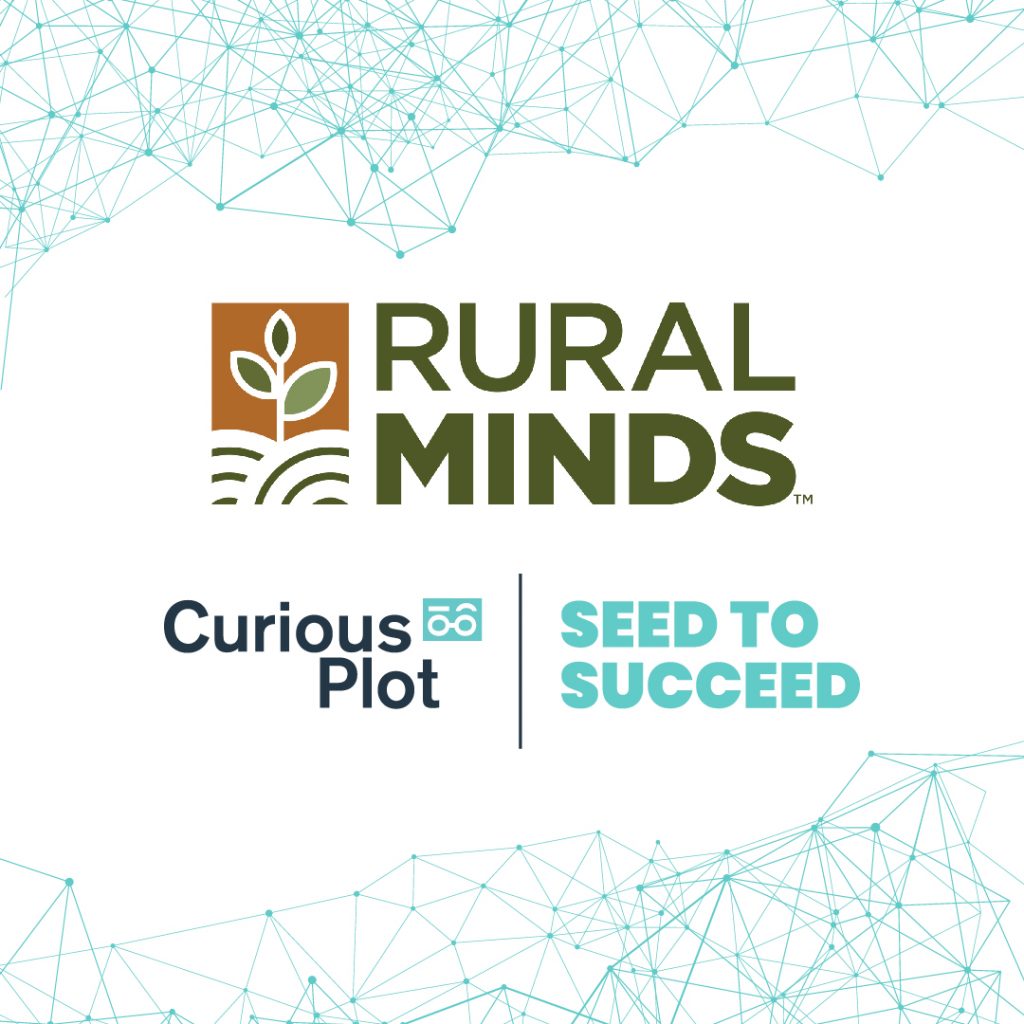 Insights - Curious Plot