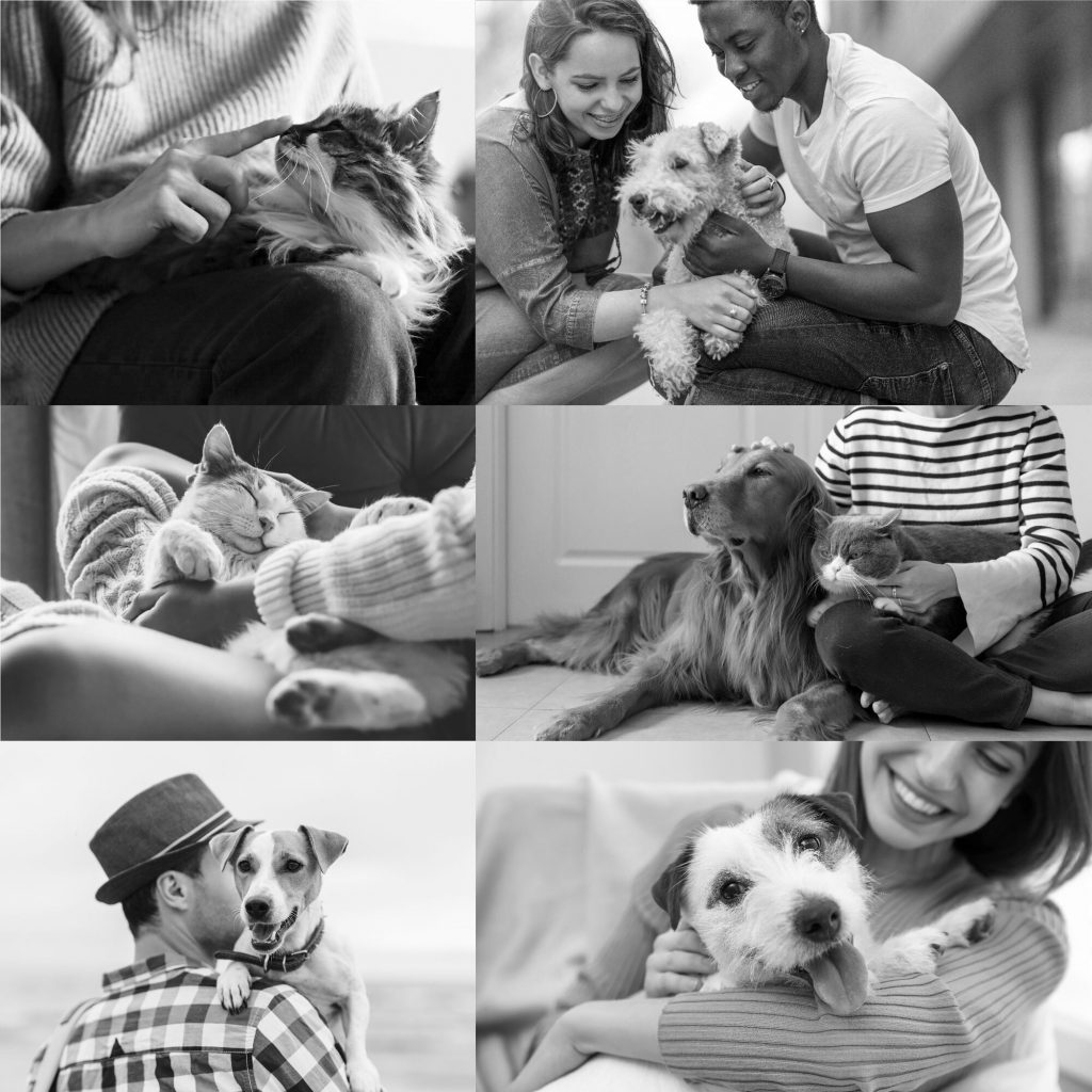 Insights - Curious Plot