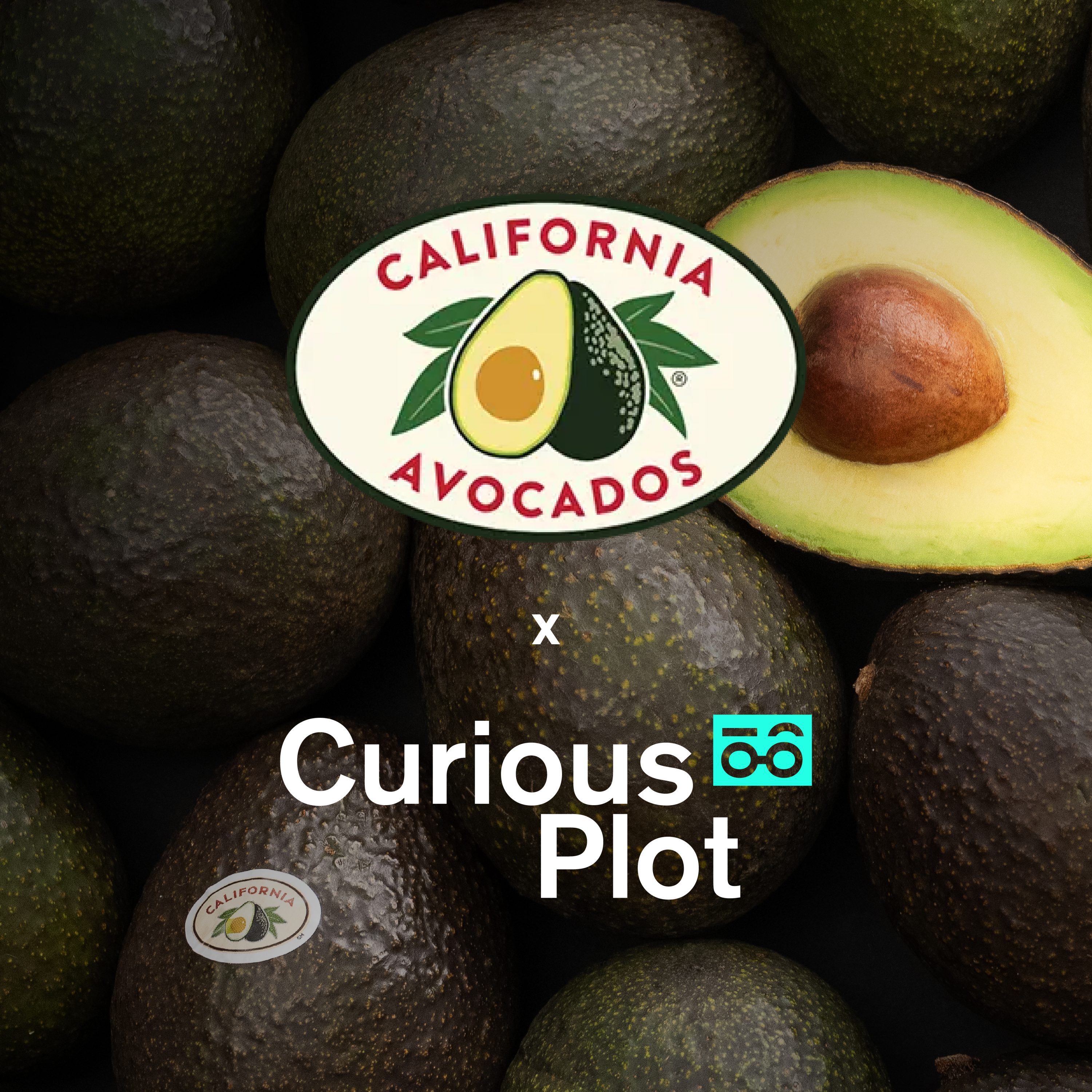 California Avocado Commission Selects Curious Plot As New Agency Of Record - Curious Plot