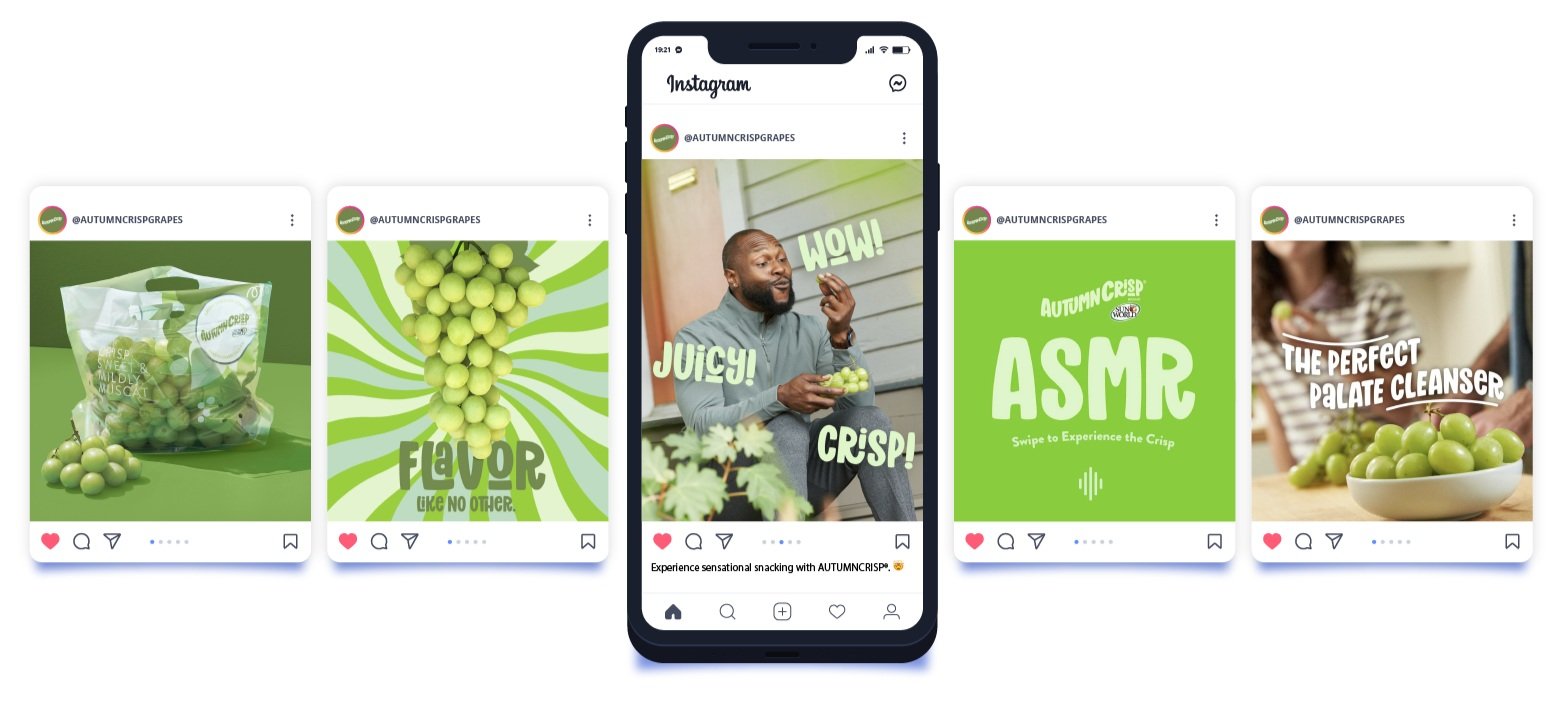 Launching a New Branded Grape - Curious Plot